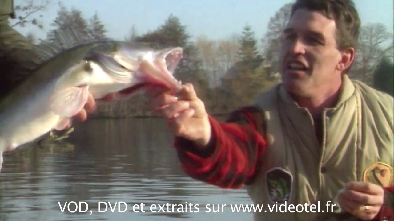 Pêche De A à Z Sandre Et Brochet Au Leurre Souple Pêche Des