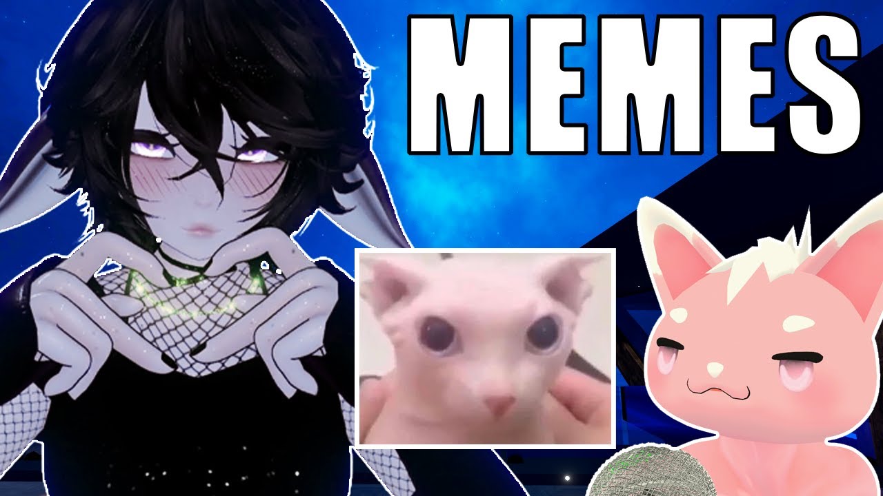 Only The Best Memes | VRchat Interview - YouTube