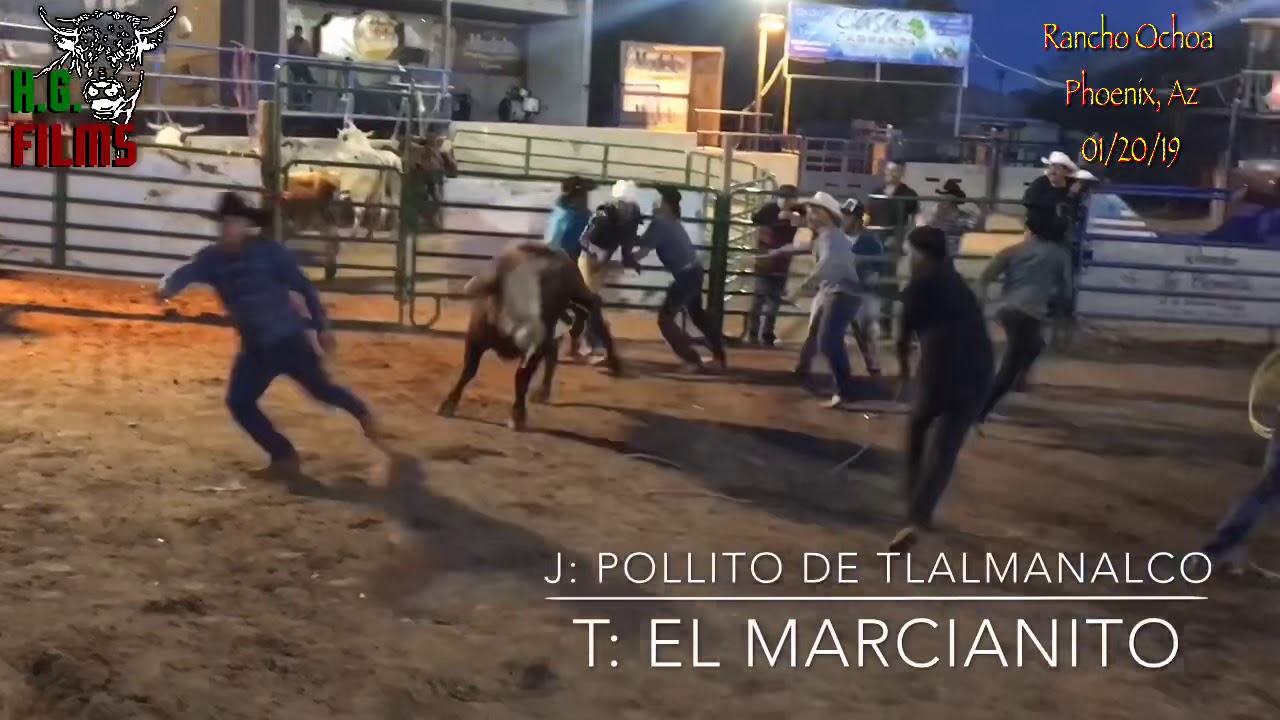 Becerriada en Rancho Ochoa 1/20/19 - YouTube
