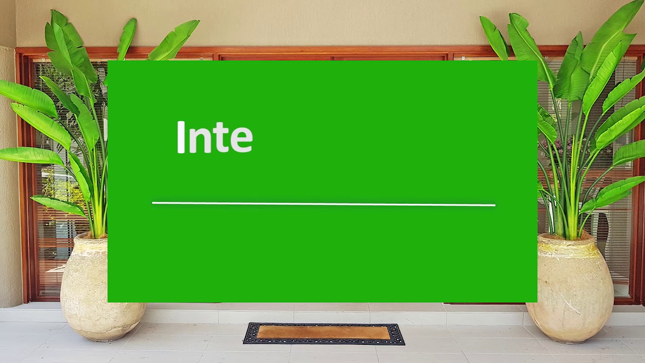 They Look So Real! - YouTube