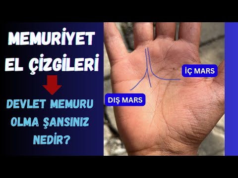 Memuriyet El Çizgileri - Devlet Memuru Olma Şansınız Nedir? - Güneş Çizgisinin Farklı Okumaları