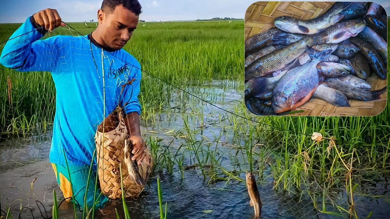 A pescaria rendeu bem, veja! - YouTube