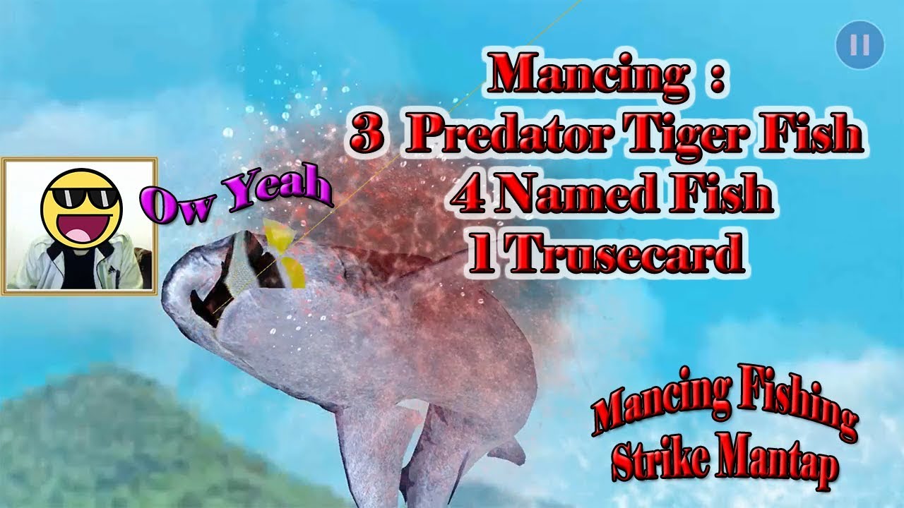 Fishing Strike ~ Wooah Mancing Dapat 3 Predator Tiger Fish, 4 Named ...