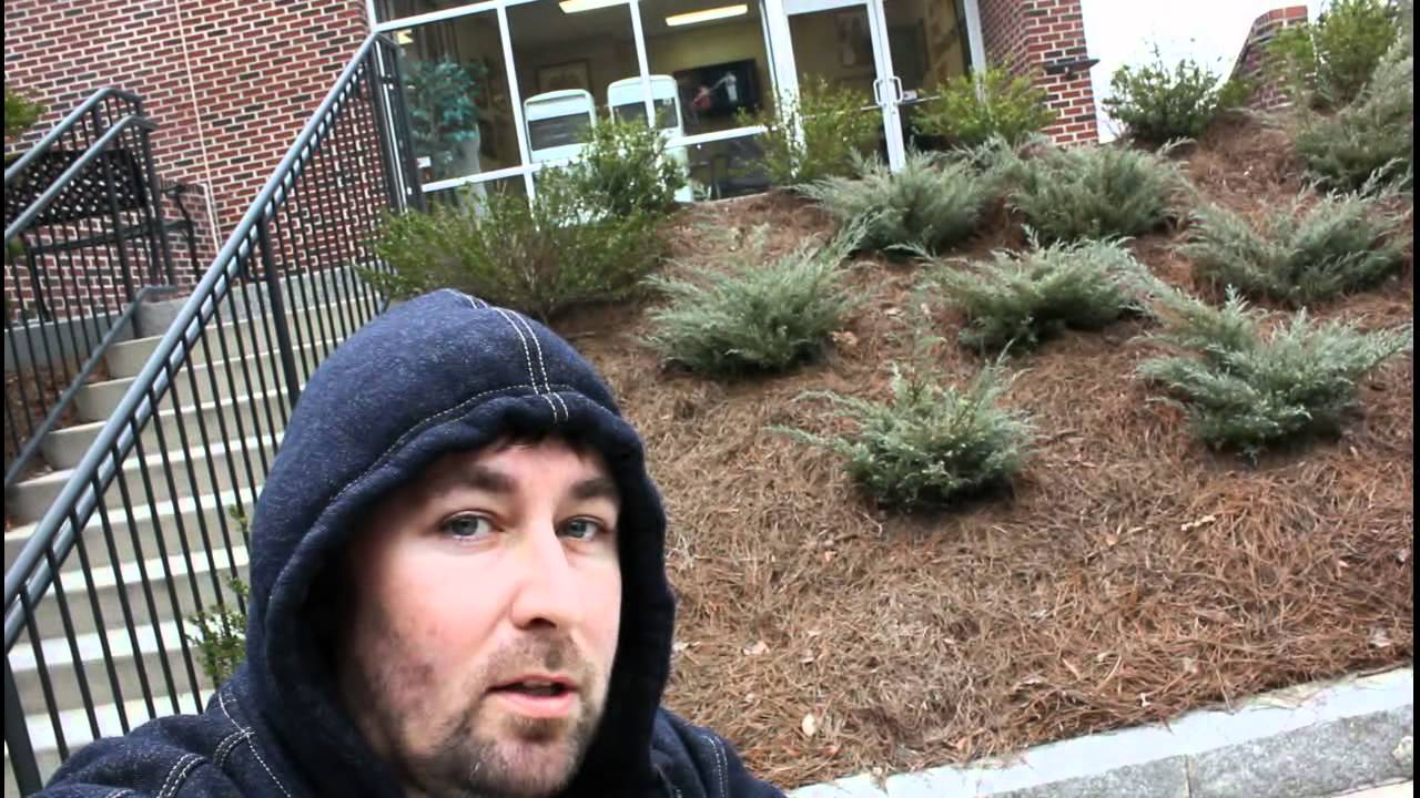 A Trip To The REAL Mayberry - Home Of The Andy Griffith Show - YouTube
