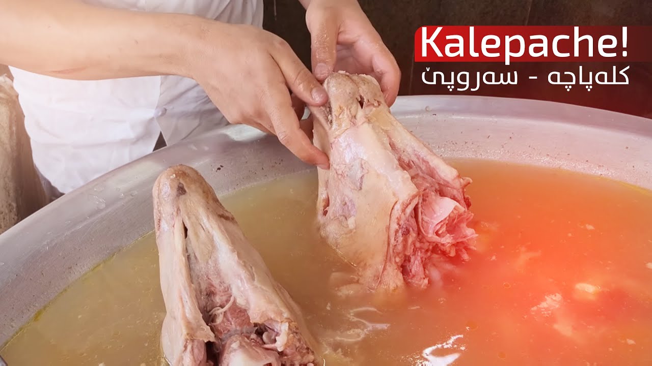 Kalepache! bake sheep head in Slemani for breakfast! Kurdish Food ...