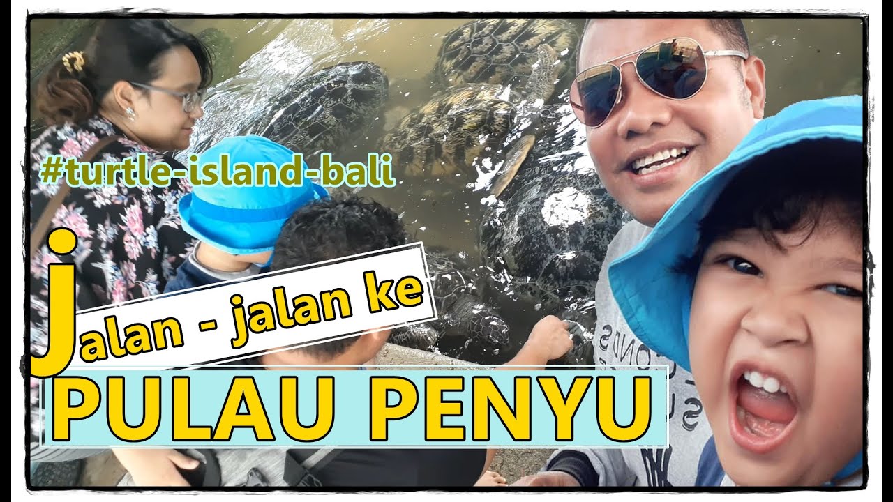 Jalan Jalan ke Pusat Penangkaran Penyu Bali || Pulau Penyu Tanjung ...