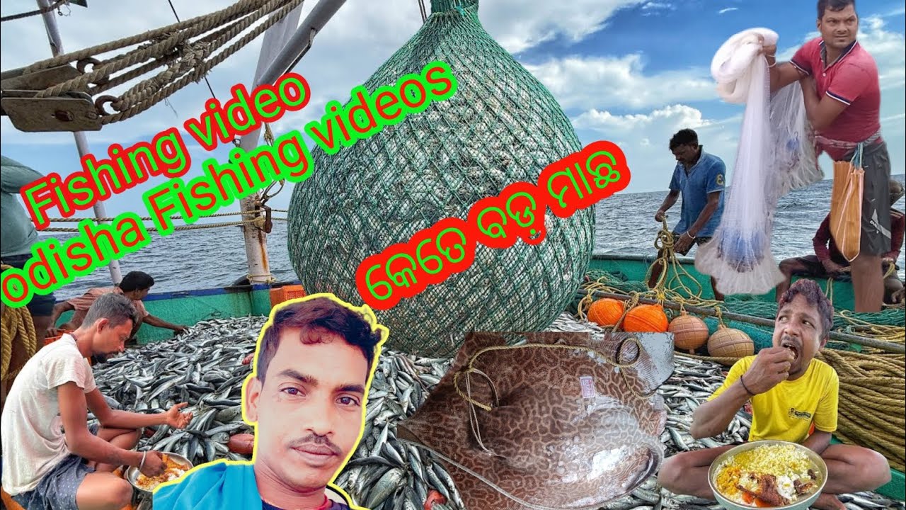 Fishing video//odisha fishing videos//ସମୁଦ୍ର ମଧିଅେର କେତେ ମାଛ ଧରିଲୁ ...
