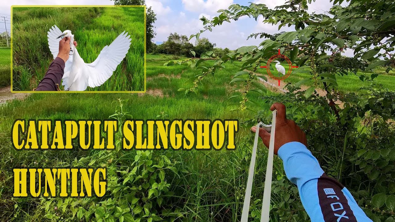 Let's go hunting #EP28 catapult slingshot hunting ...