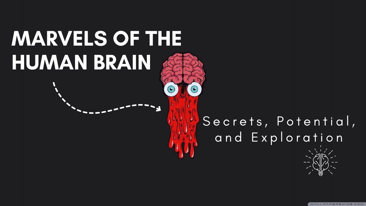 The Wonders of the Human Brain Unlocking Its Mysteries - YouTube