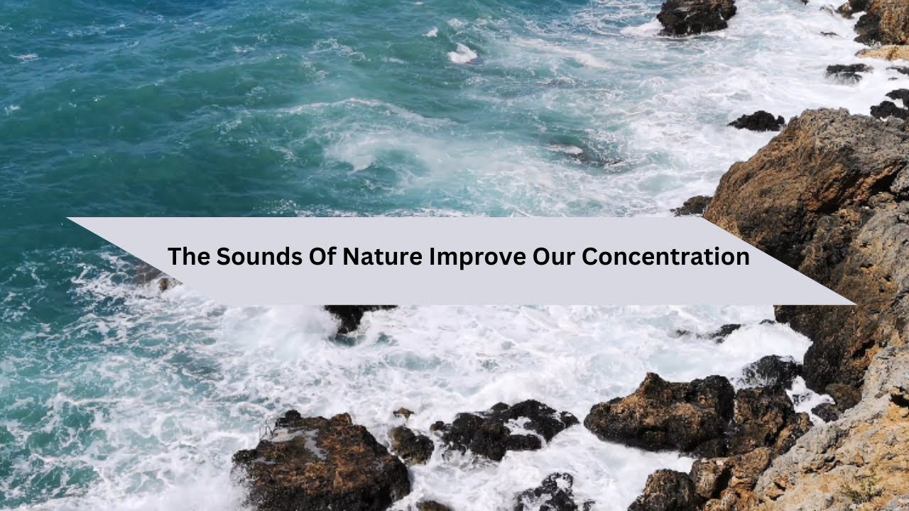 The Sounds Of Nature Improve Our Concentration - YouTube
