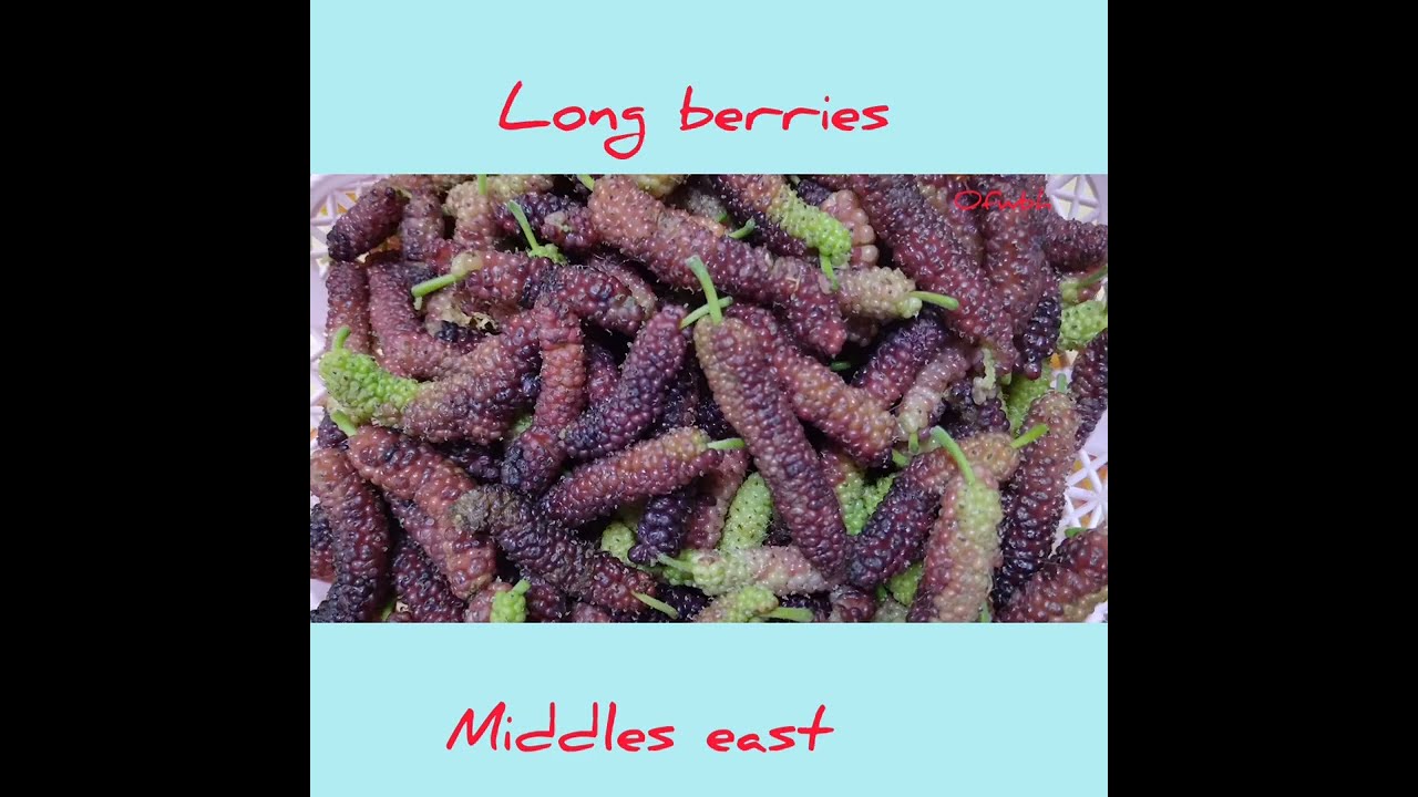 Long berries season - YouTube