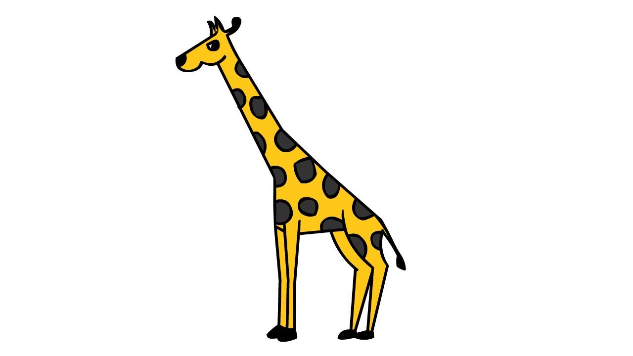 how to draw girraffe - YouTube