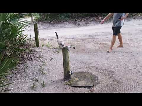 "Favor Dikes State Park" - St Augustine, Florida - YouTube