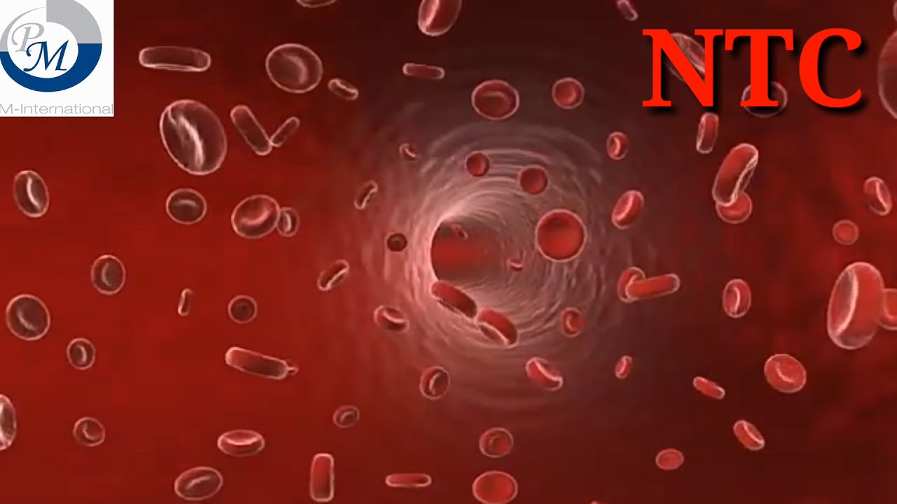 Pm international NTC Concept fitline Germany - YouTube