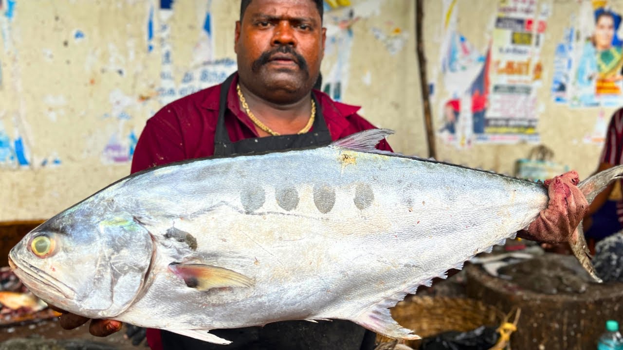 BIG QUEEN TREVALLY FISH CUTTING BY SPEED SELVAM | HD VIDEO | IN ...