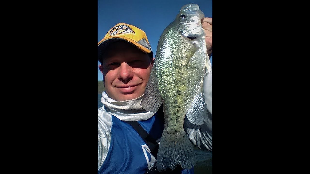 Trophy Fish Recognition Program - YouTube