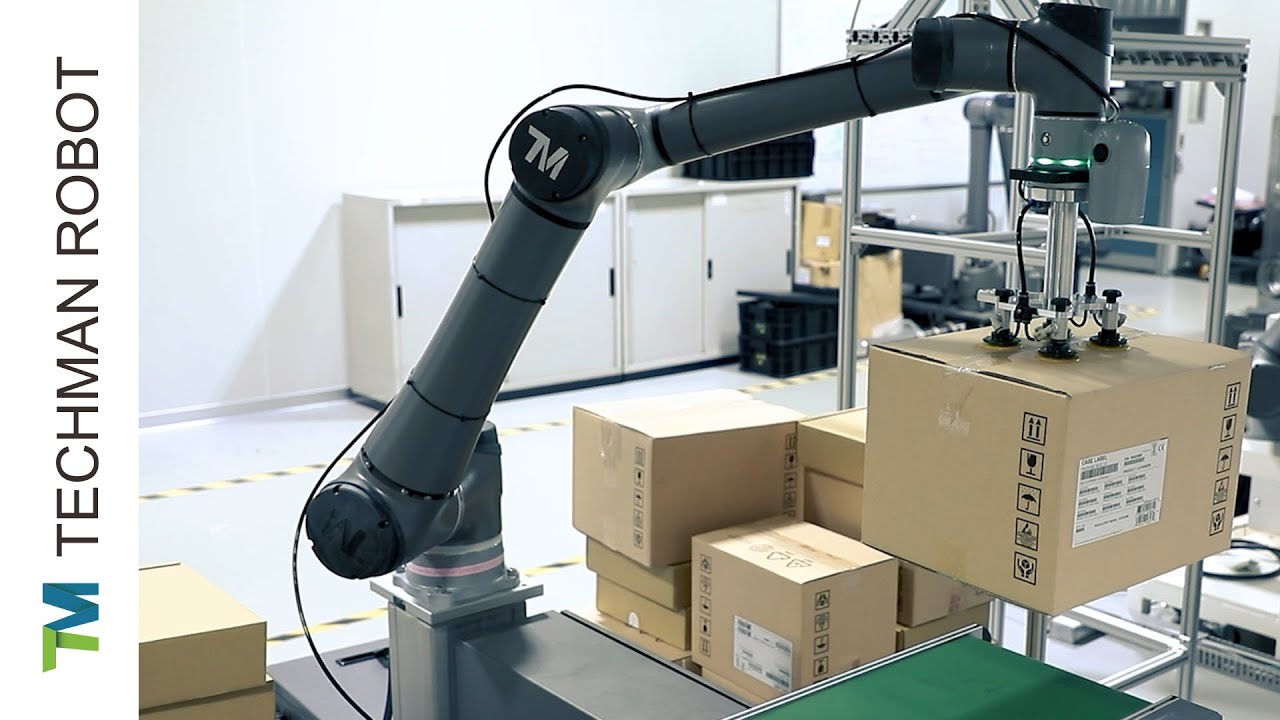 V3A091JP TM AI Cobot - Multiple-form boxes depalletizing application ...
