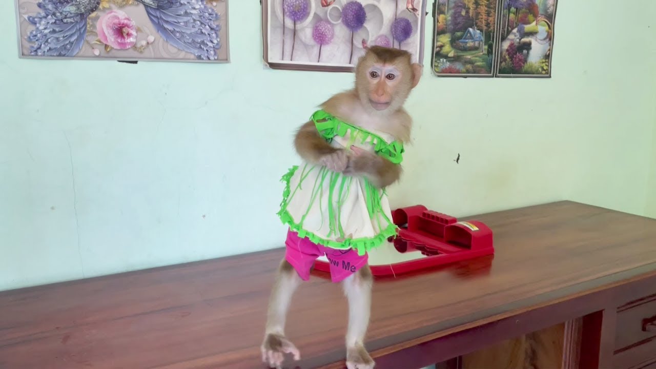 Watch What Hailey Does With Finding Satya - YouTube