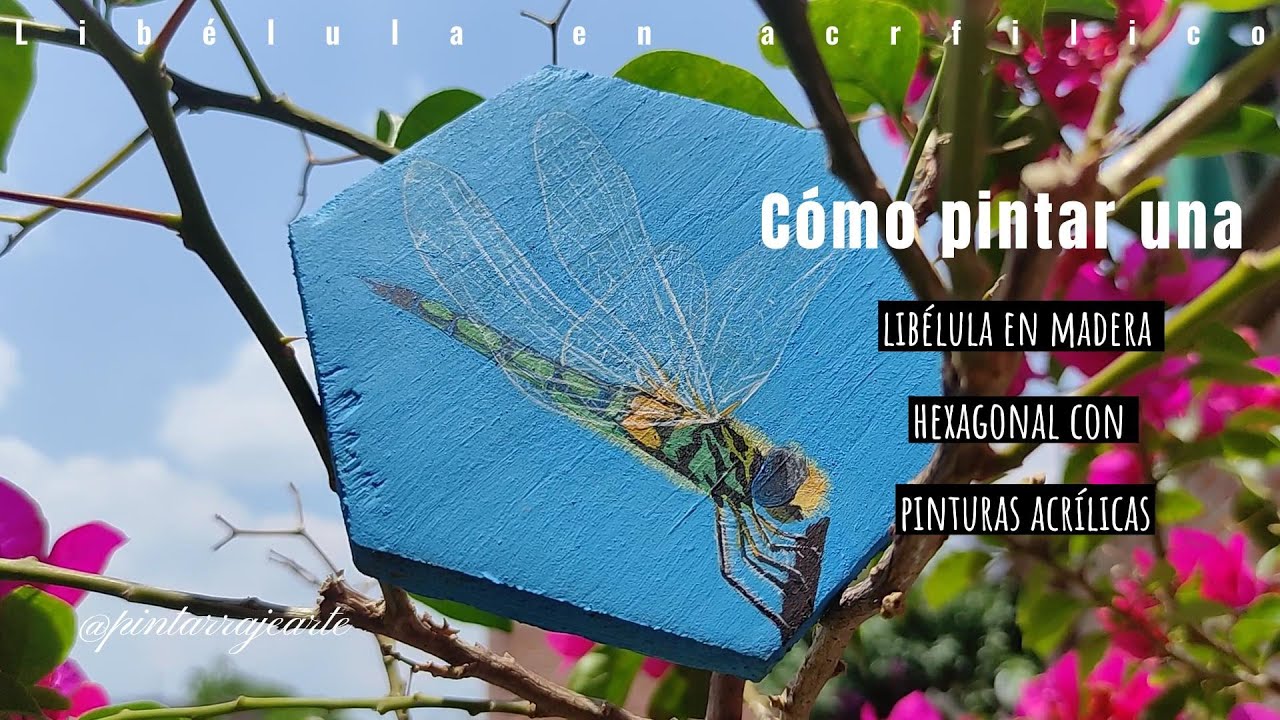 Cómo pintar una libélula en madera hexagonal con pinturas acrílicas ...