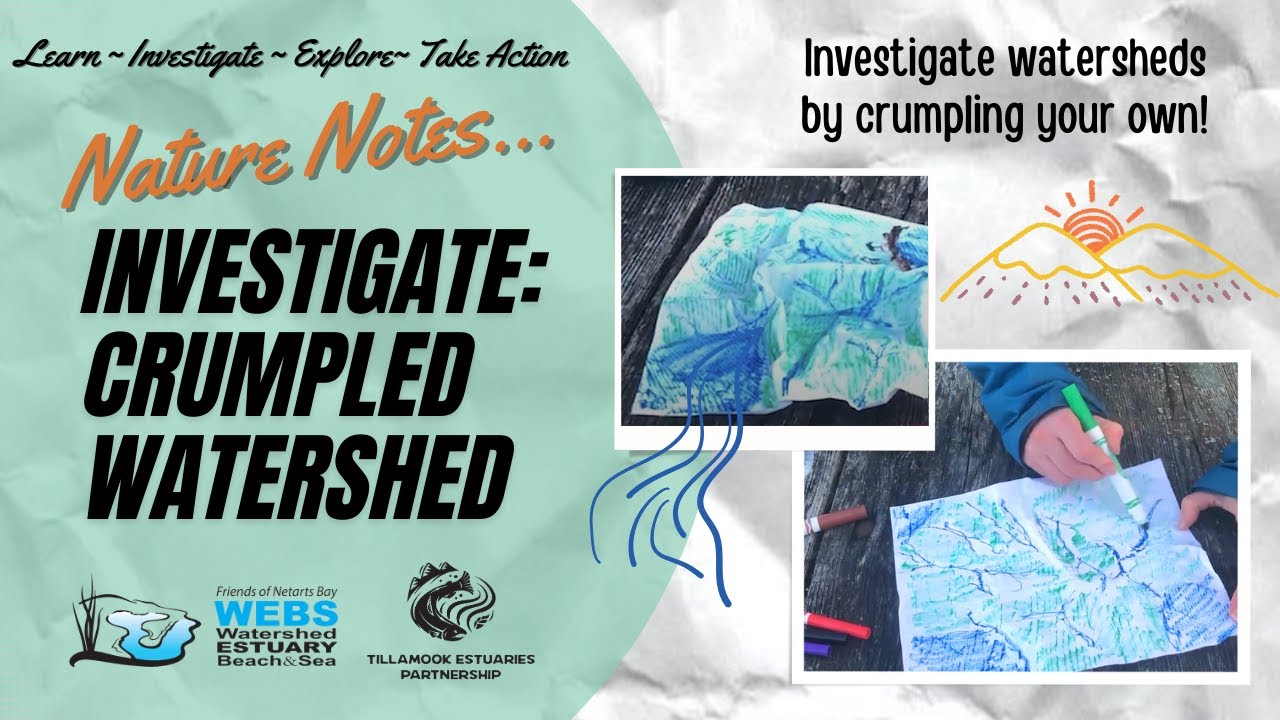 Nature Notes: Crumpled Watershed - YouTube