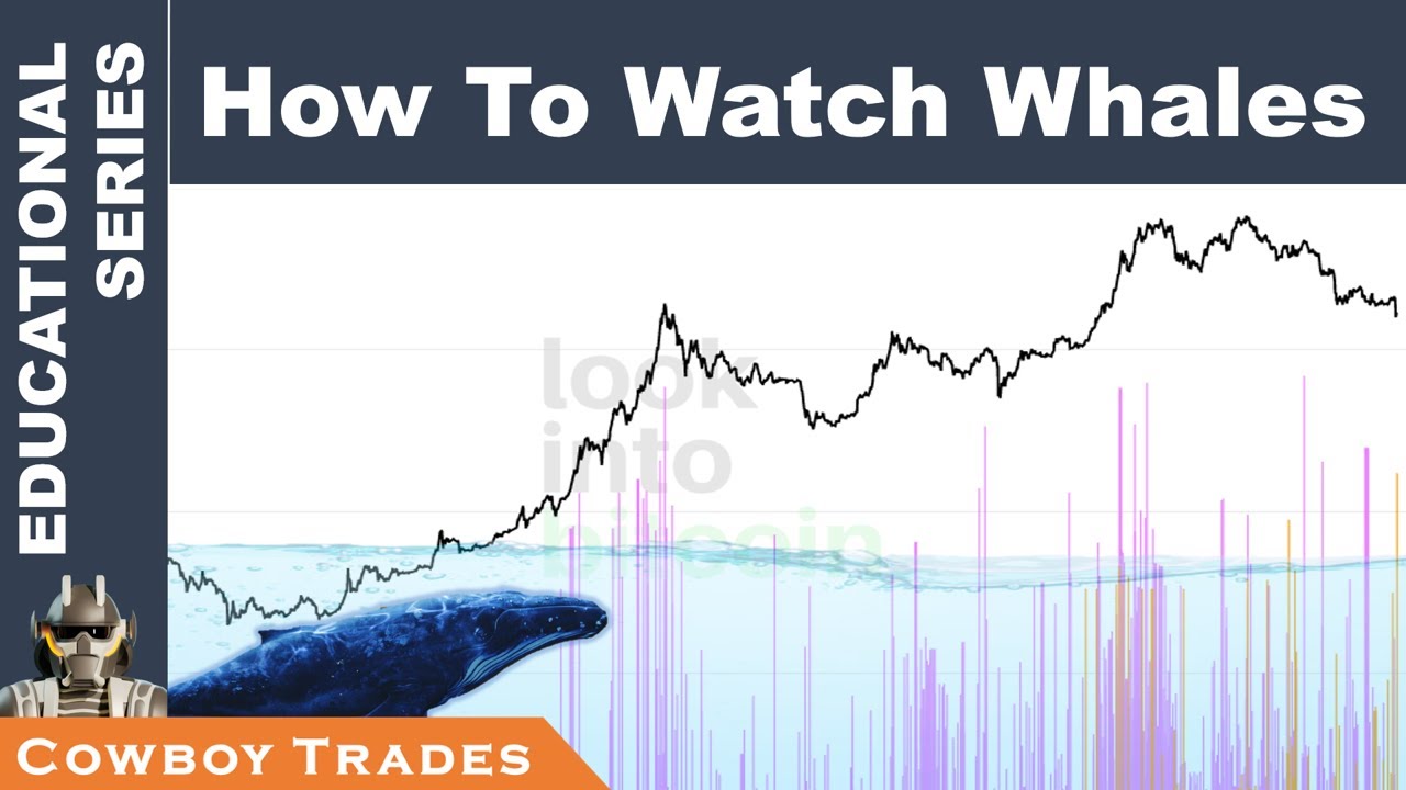 How To Watch Bitcoin Whale Wallets - YouTube