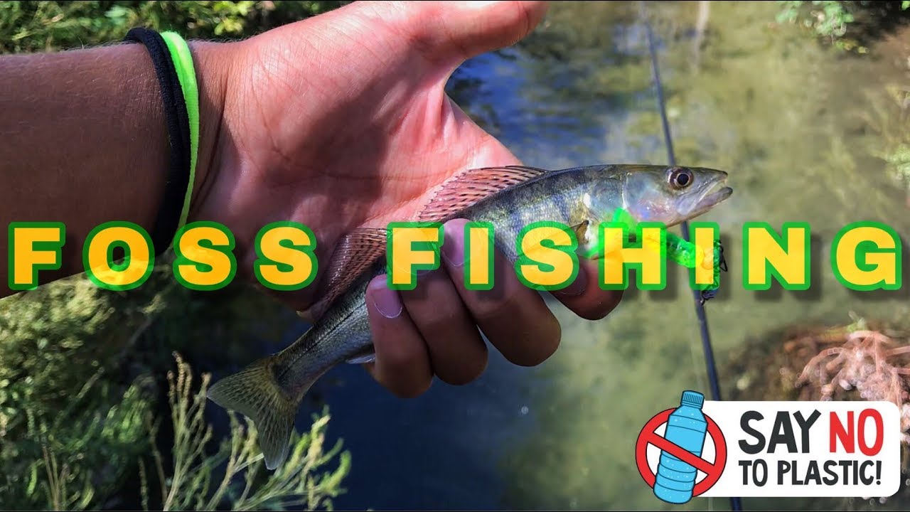 FOSS FISHING A MILANO🧛🏼‍♂️ - YouTube