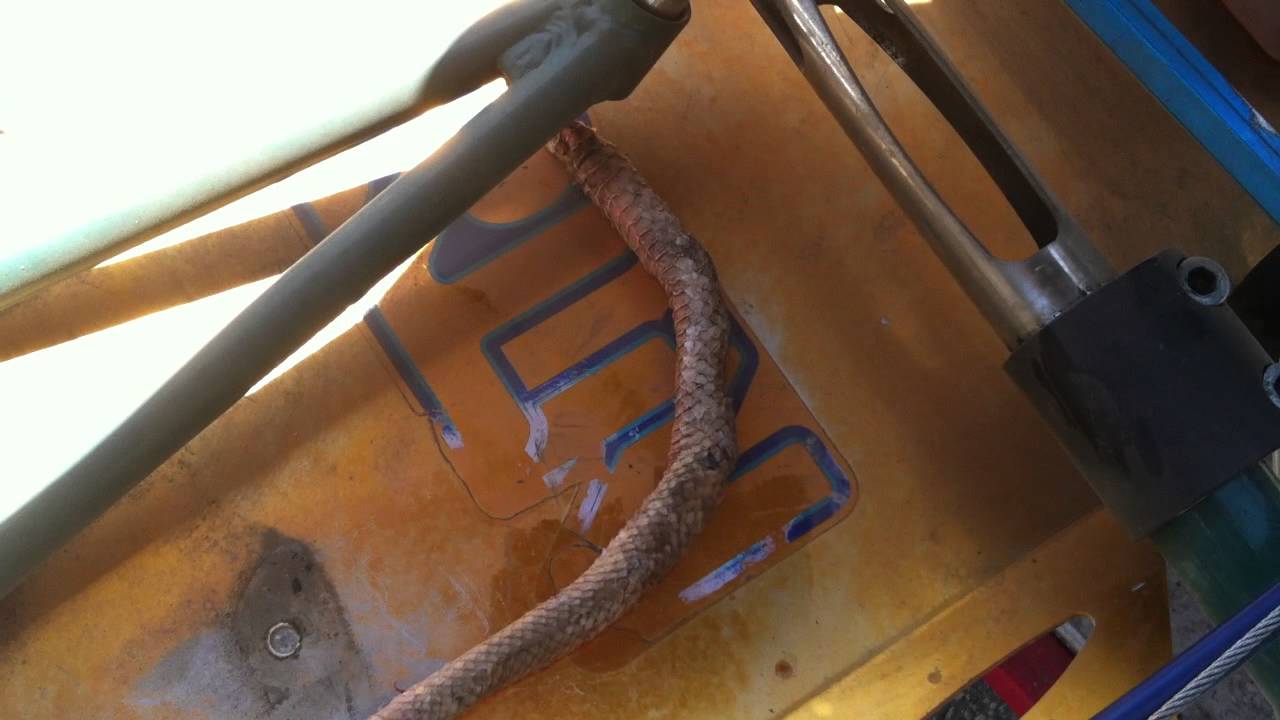 Will ran over a snake go kart racing at Adams. - YouTube