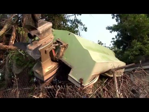 belgesel: APTALLIK ÇAĞI