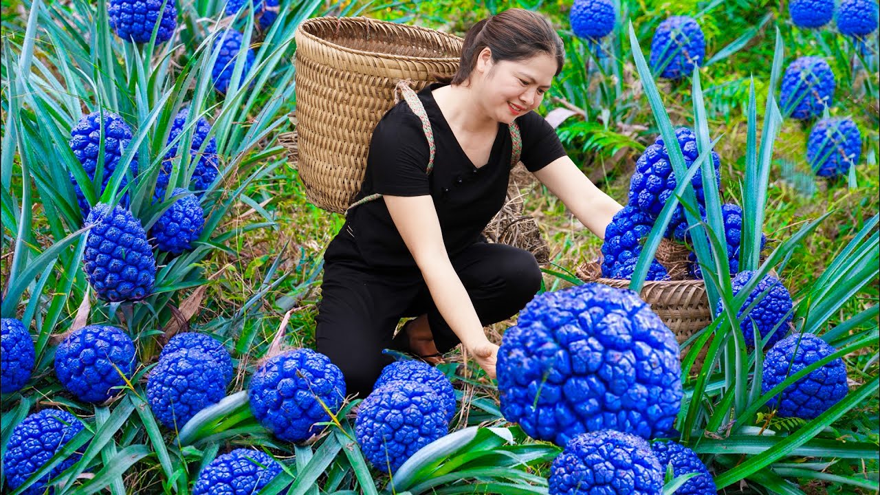 Surviving A Week in the Forest | Harvesting Mutant Pineapple Go To ...