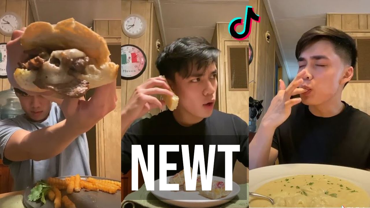 Newt (milktpapi) Ultimate TikTok Compilation | Viral Tik Tok ...