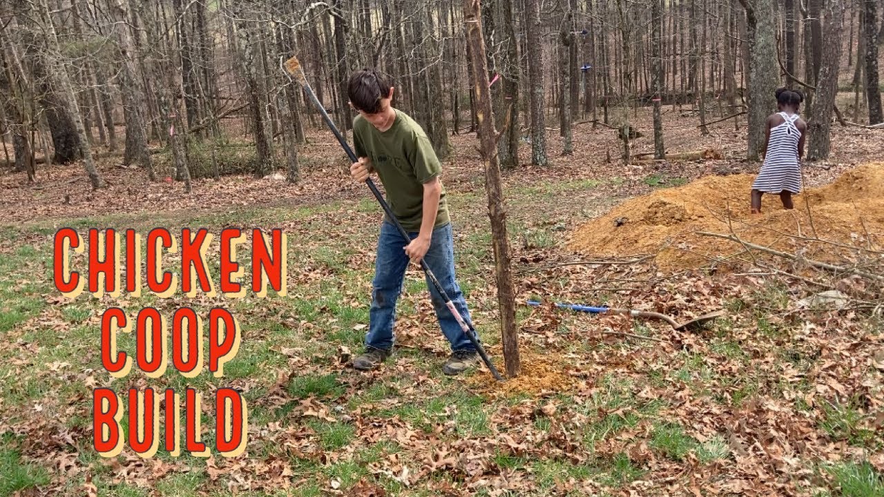 Free Compost Making Chicken Coop - YouTube