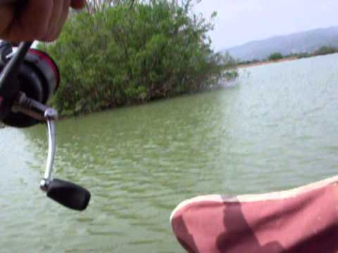 preston inception 4000 - YouTube