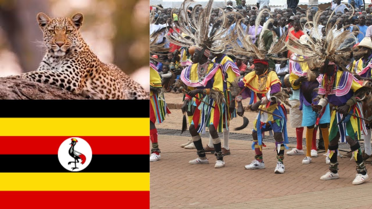 Once Upon A Time in Pakwach || The Home of Leopards - YouTube