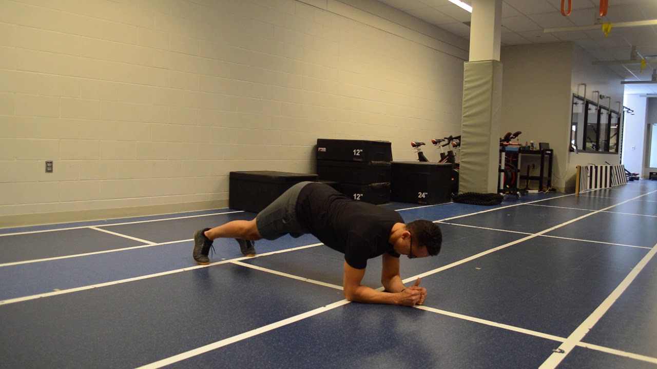 Quadruped Exercise Progression