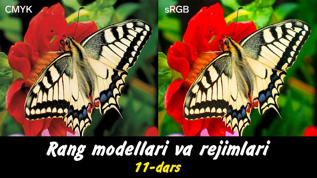 Rang modellari va rejimlari #rang_modellari #mustaqil_talim #mustaqil ...