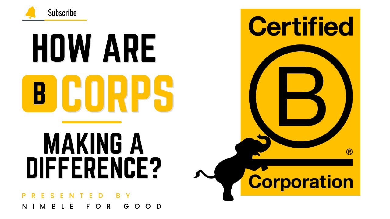 How Are B Corps Making a Difference? - YouTube