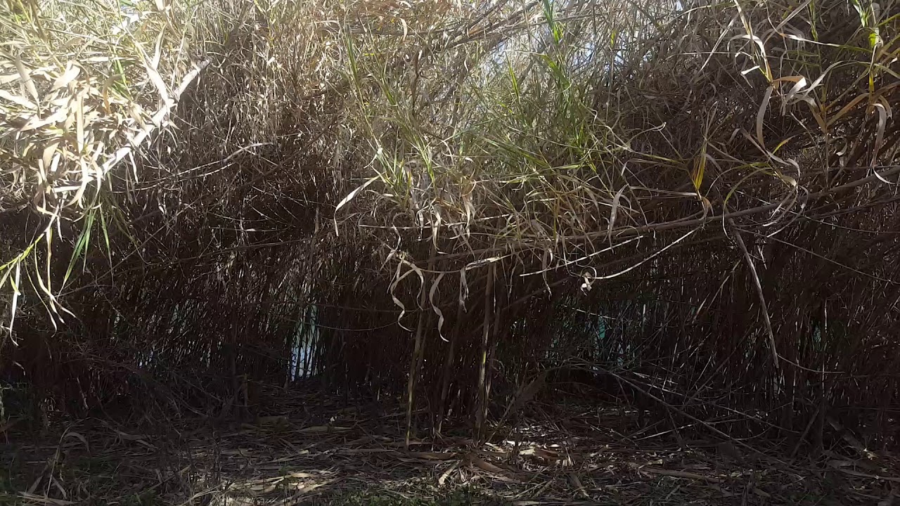 Exploring the lomeda le croos - YouTube