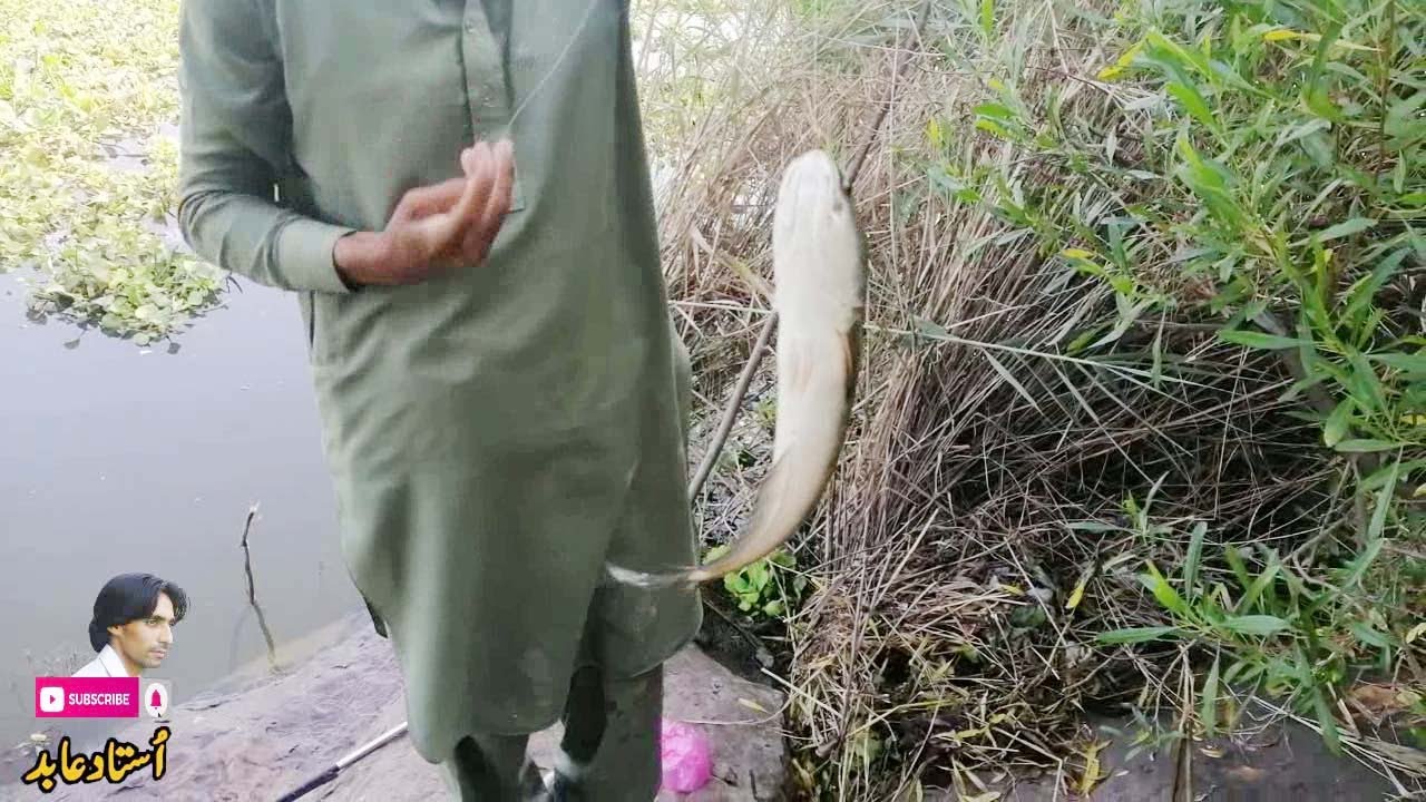 Rawal dam sol fish 1 KG - YouTube