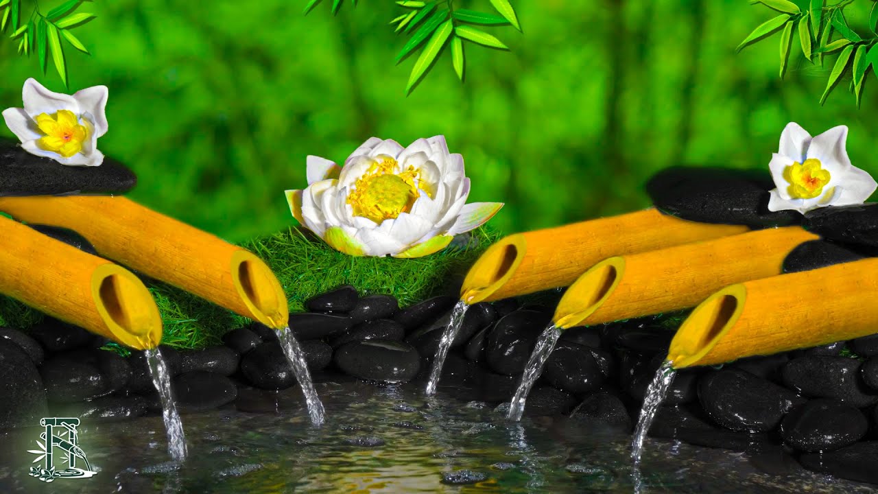 Relaxing Piano Music - Stress Relief, Relaxation, Meditation Music ...