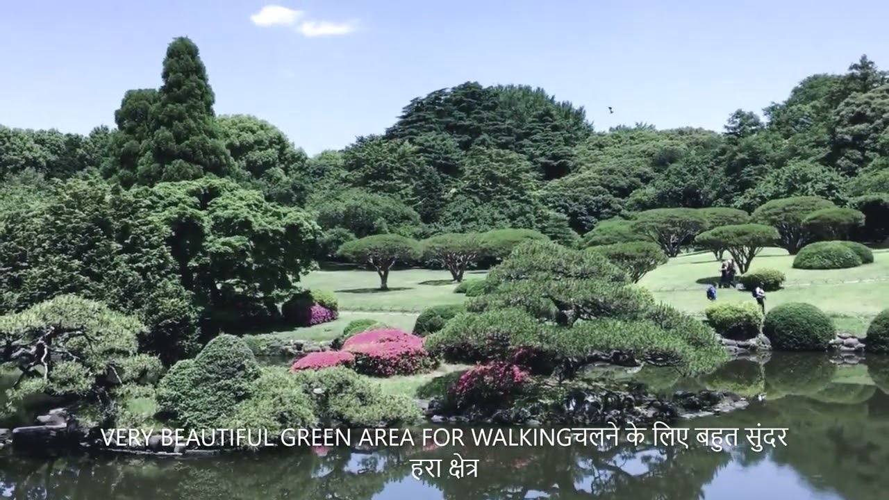 VERY BEAUTIFUL GREEN AREA FOR WALKINGचलने के लिए बहुत सुंदर हरा क्षेत्र ...