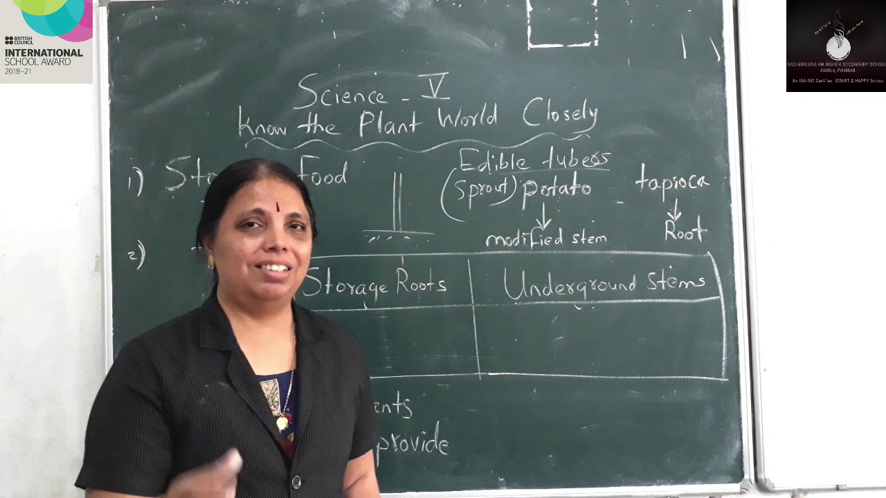 Class 5 Science Chapter 1 - Know the Plant World Closely (Part 5) - YouTube