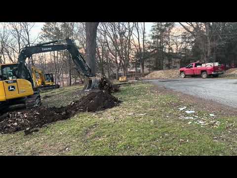 Excavator quick and easy removal of tree stump - YouTube