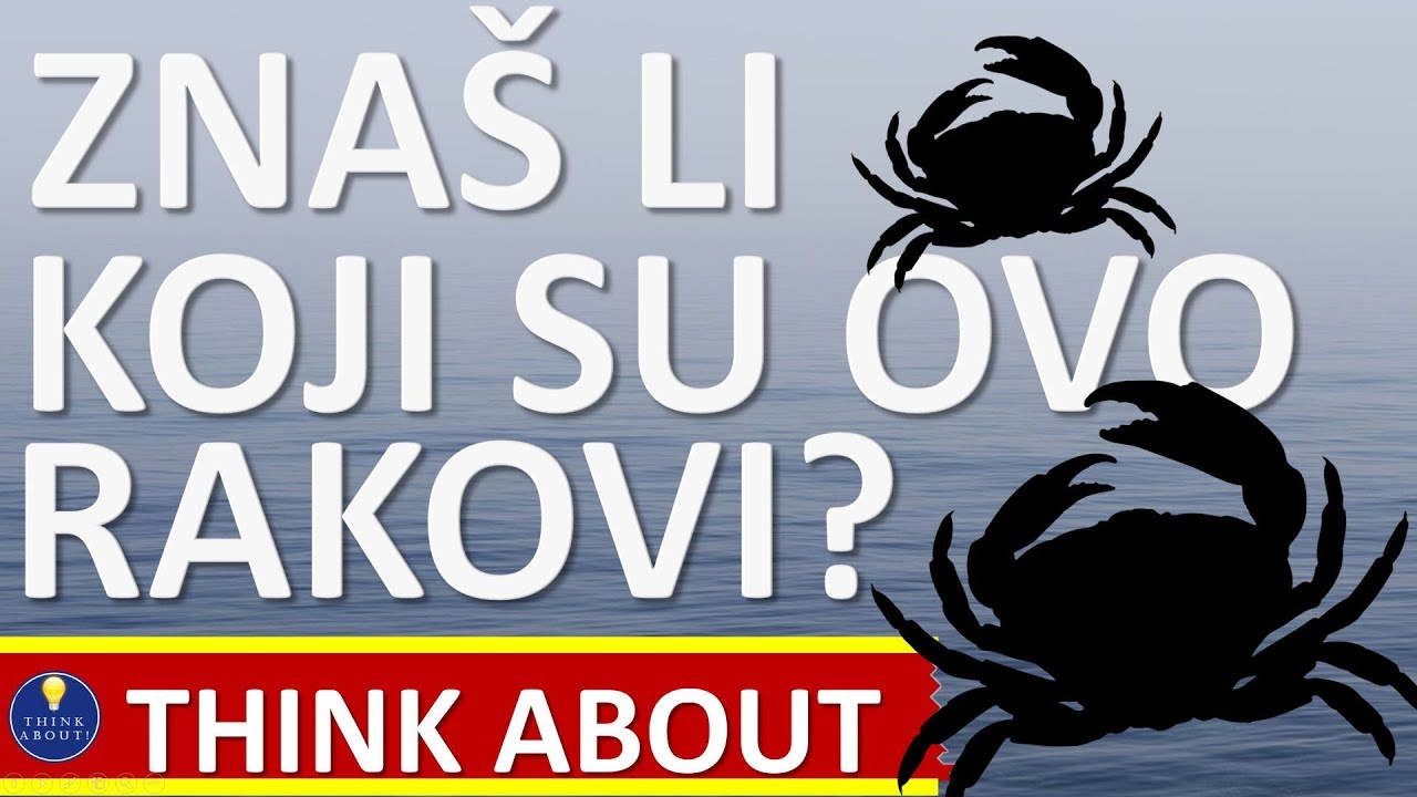 Prepoznavanje vrsta rakova - YouTube