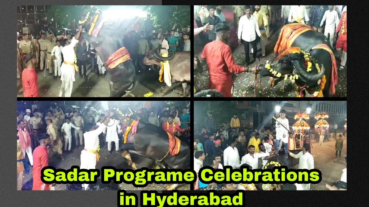 Sadar Programe Celebrations in Hyderabad || A5NEWS || - YouTube
