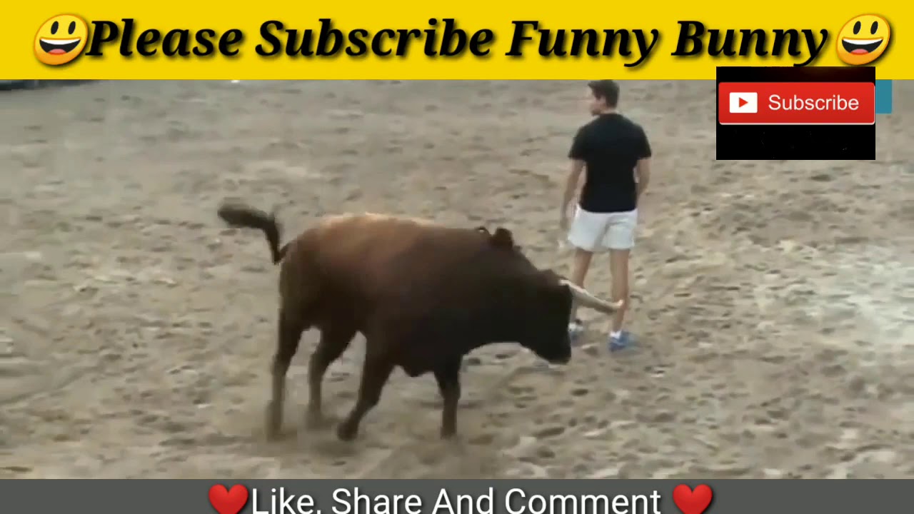 Dangerous Bull Fight Funny Compilation 2020 - YouTube