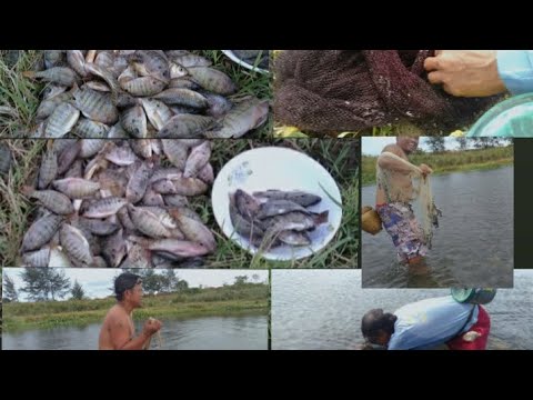 Anong nangyari sa tabukol 🤔😮 # Catch and cook 🐟 (part2) - YouTube