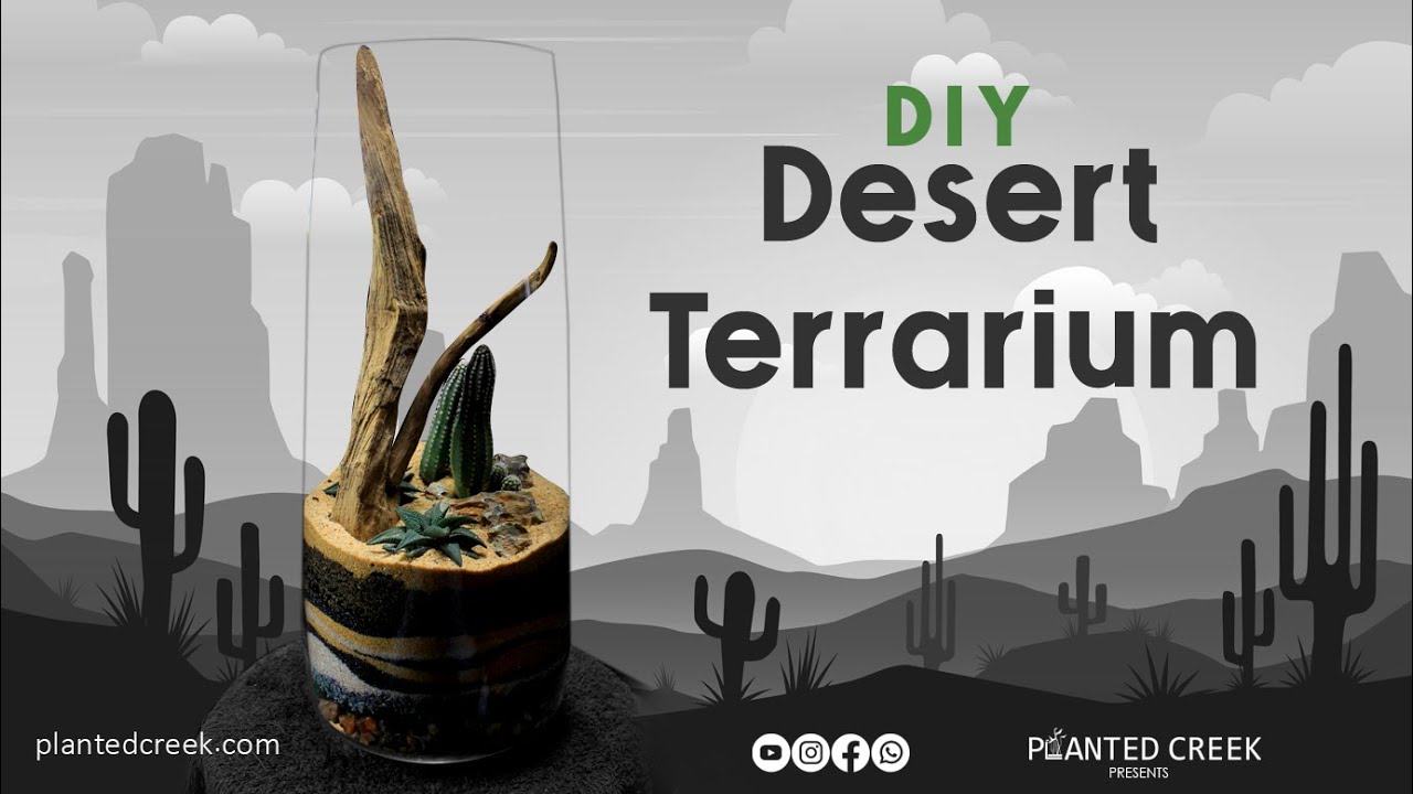 Desert Terrarium DIY #plantedcreek #terrarium - YouTube