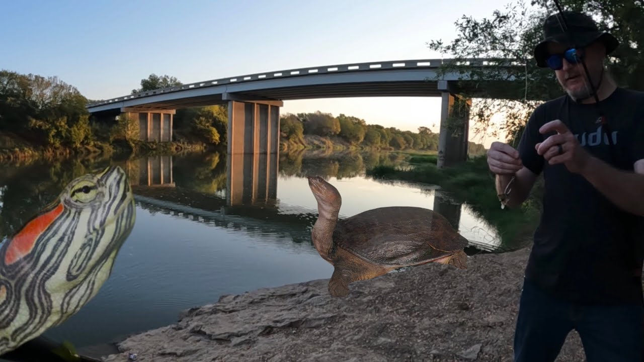 Catching weird river creatures with my dad - YouTube