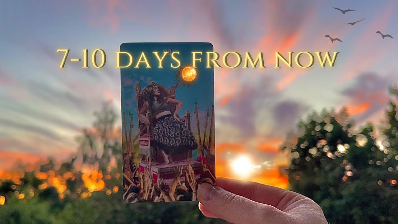 🌹 Pick A Card - 7-10 Days From Now - YouTube
