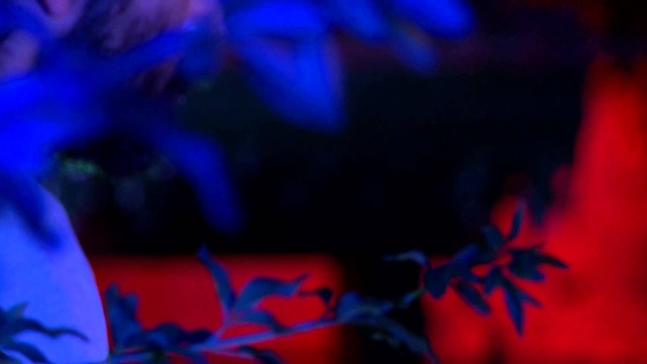 Imminent Contact @ Interactive Art 2.0 - YouTube